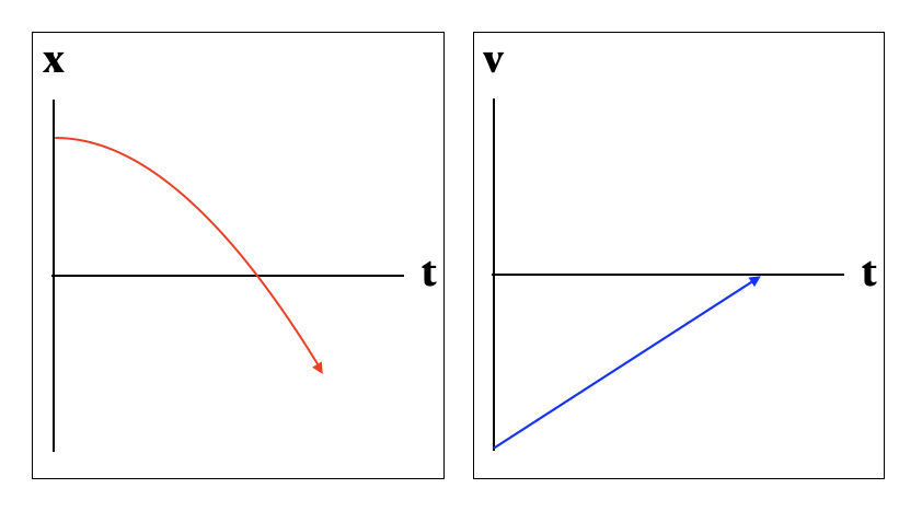 Design Tip: Color Coded Motion Graphs – Megan Hayes-Golding